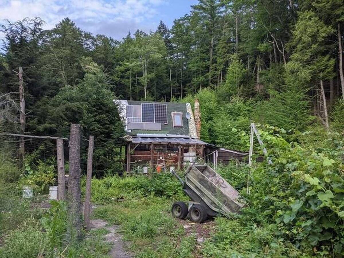 Man living alone in the woods for 27 years forced to leave his cabin ...