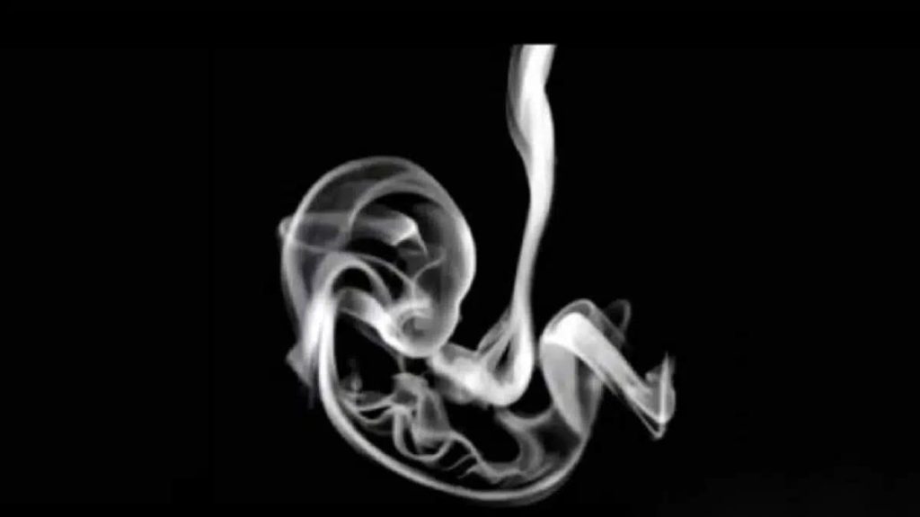 The first thing you see in this image reveals a surprising side of your ...