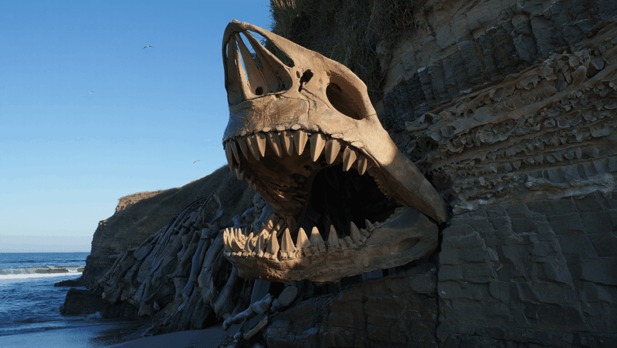 Ancient giant shark ruled the seas before megalodon, fossils reveal ...